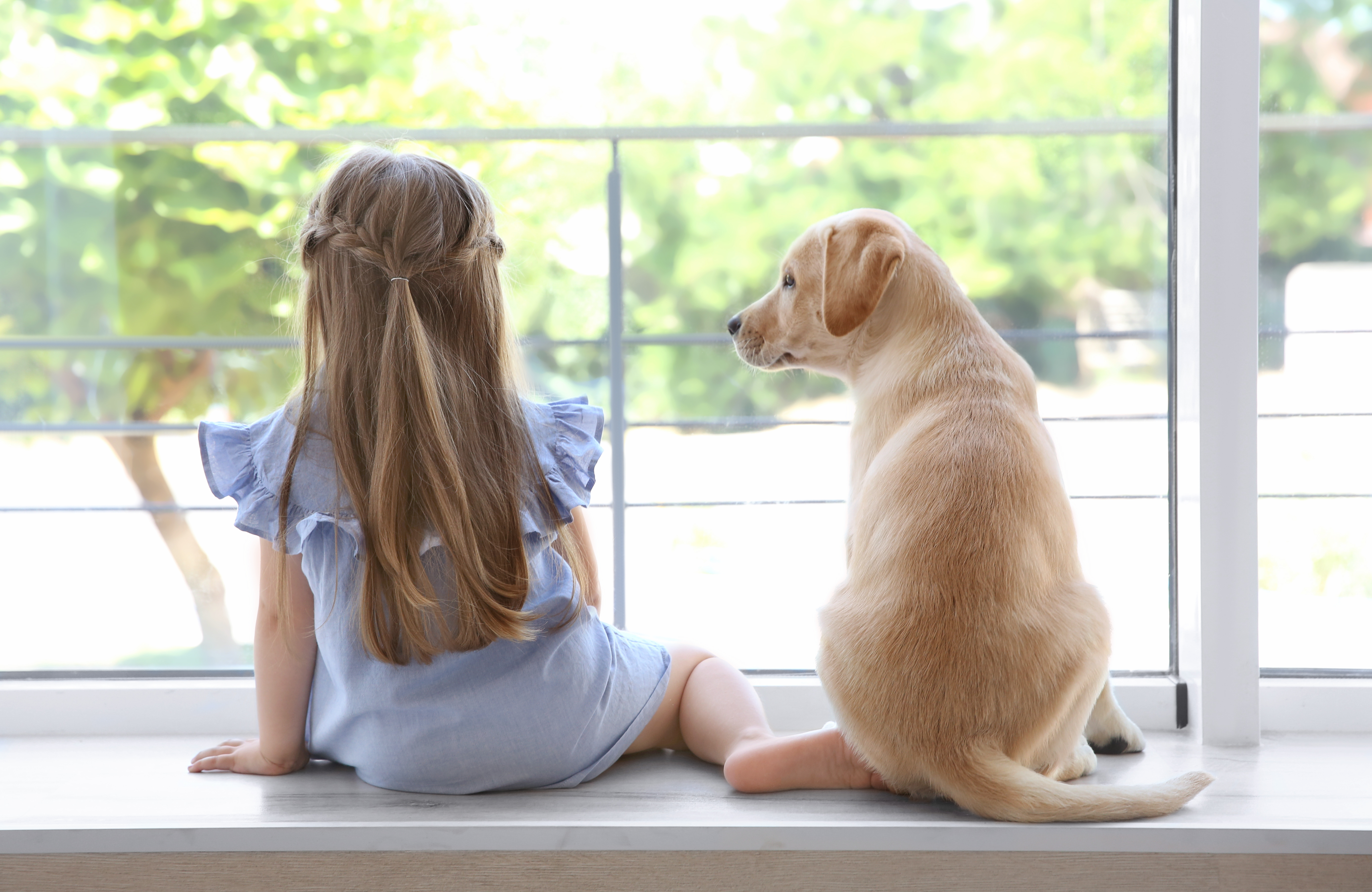 9 Benefits of Storm Impact Windows | Ygrene